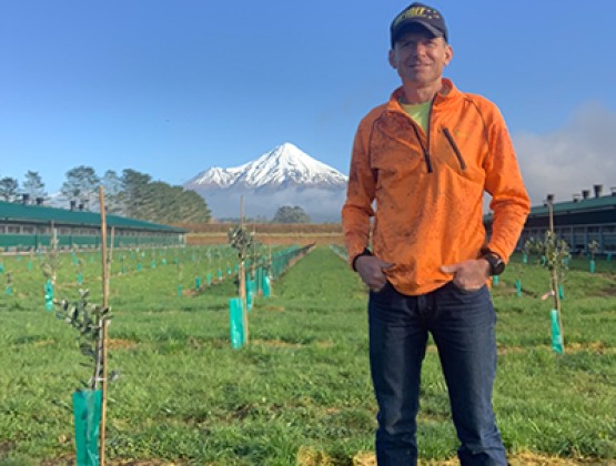 Realising the potential - Airport Farm | Baker Tilly Staples Rodway